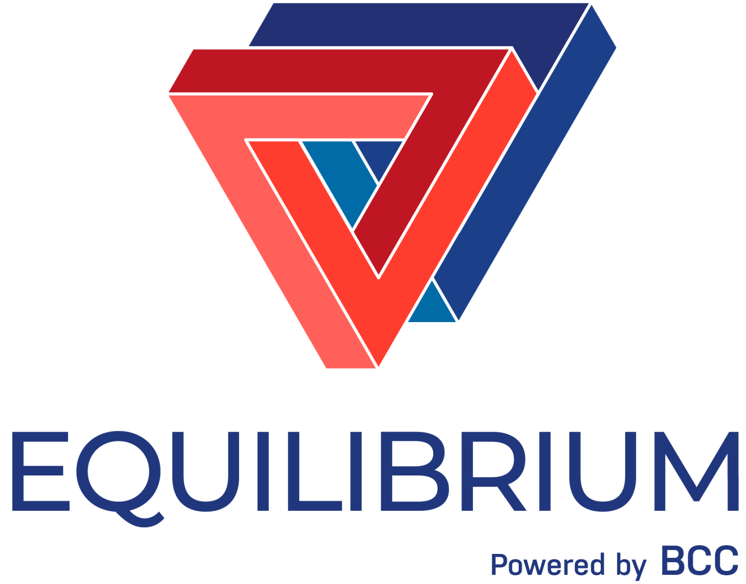 Equilibrium Mentoring Programme 2023 ǀ Equilibrium mentoringový program ...